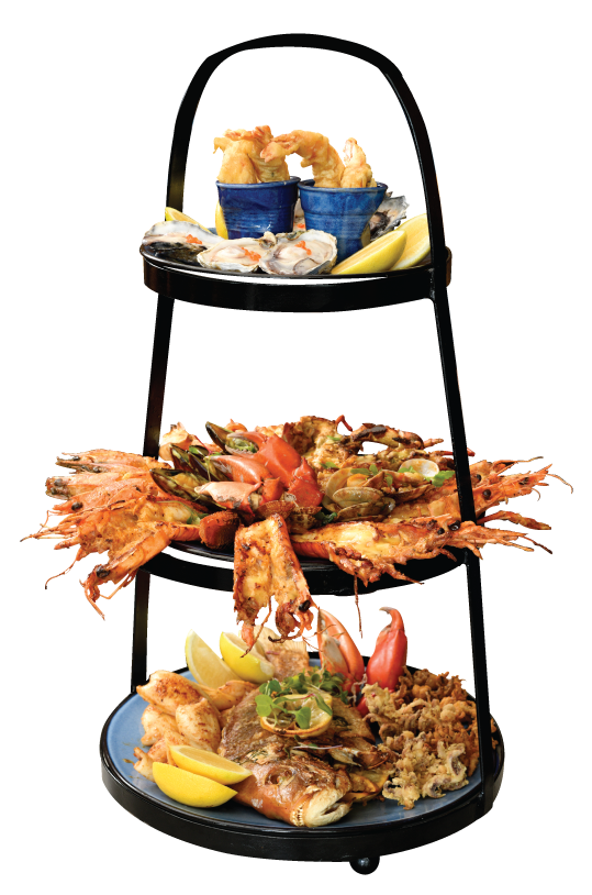 Home - Adega - full of sol